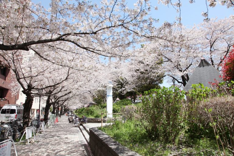 Sumida Park | Tokyo Photo Spots