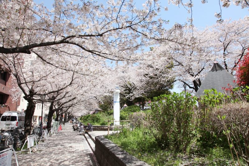 Sumida Park | Tokyo Photo Spots